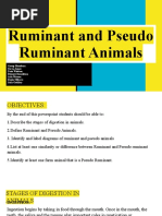 The Comparative Anatomy of Eating | PDF | Digestion | Gastrointestinal ...