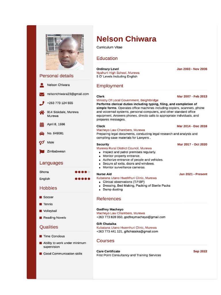CV Sample | PDF