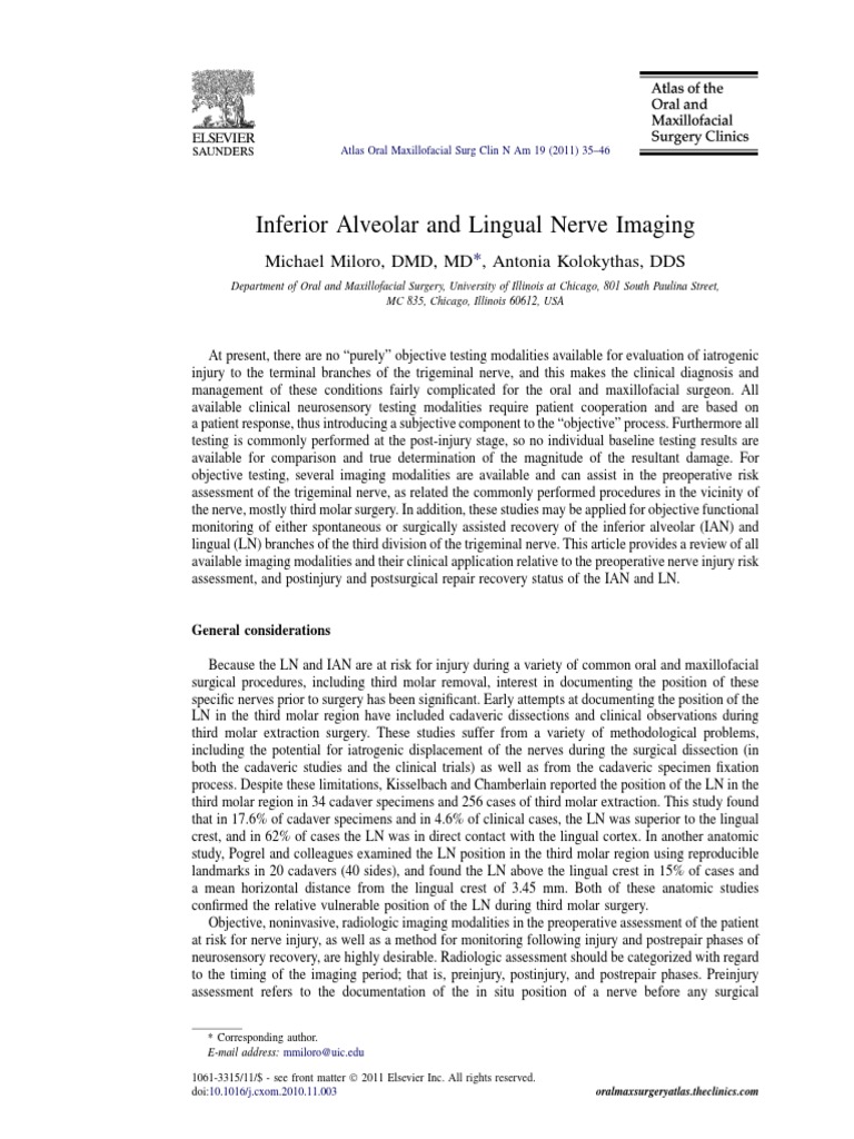 Inferior Alveolar and Lingual Nerve Imaging | PDF | Magnetic Resonance ...