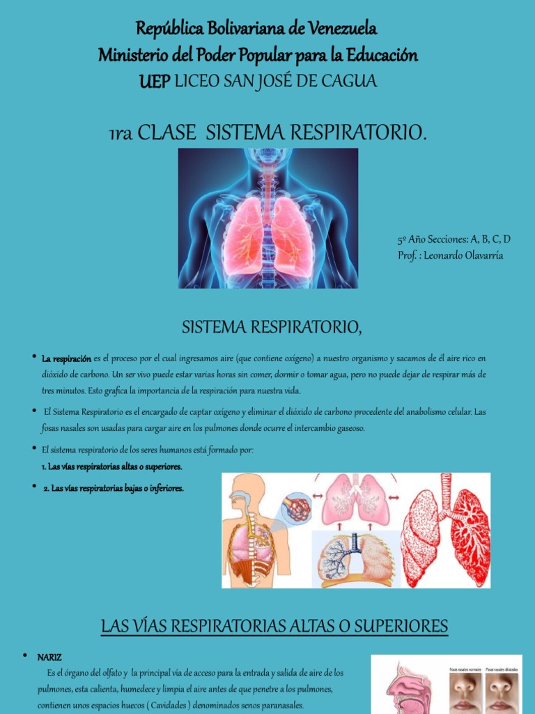 5º Año 1ra Clase Aparato Respiratorio | PDF | Respiración | Sistema ...