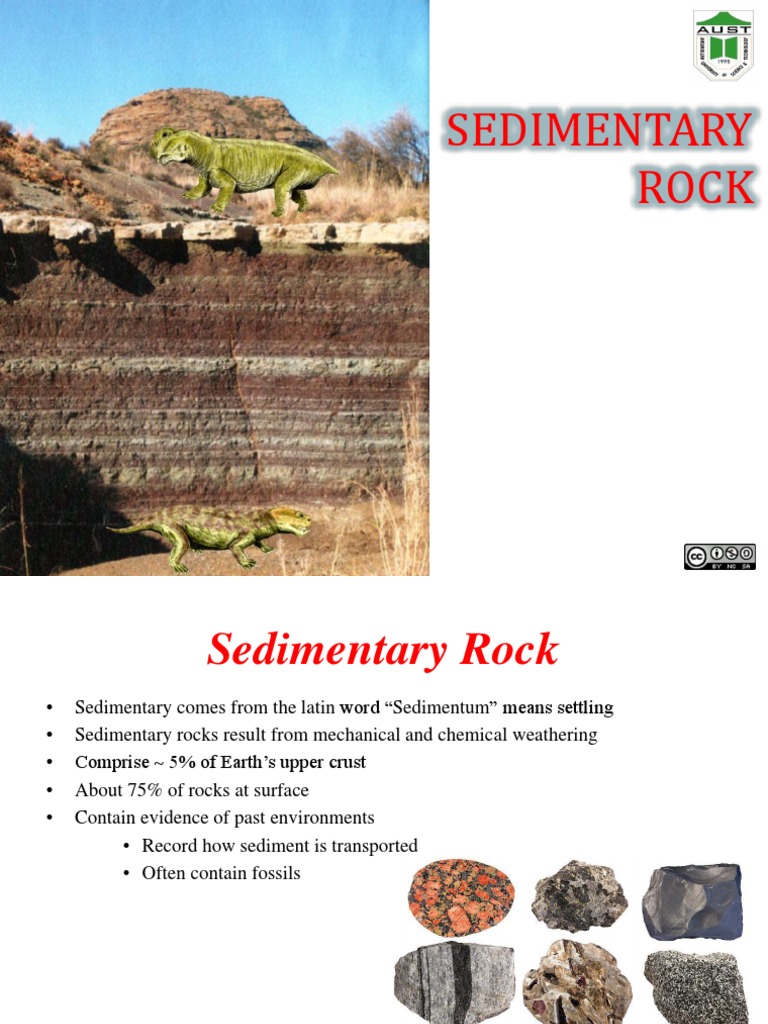 Sedimentary Rock | PDF | Sedimentary Rock | Clastic Rock