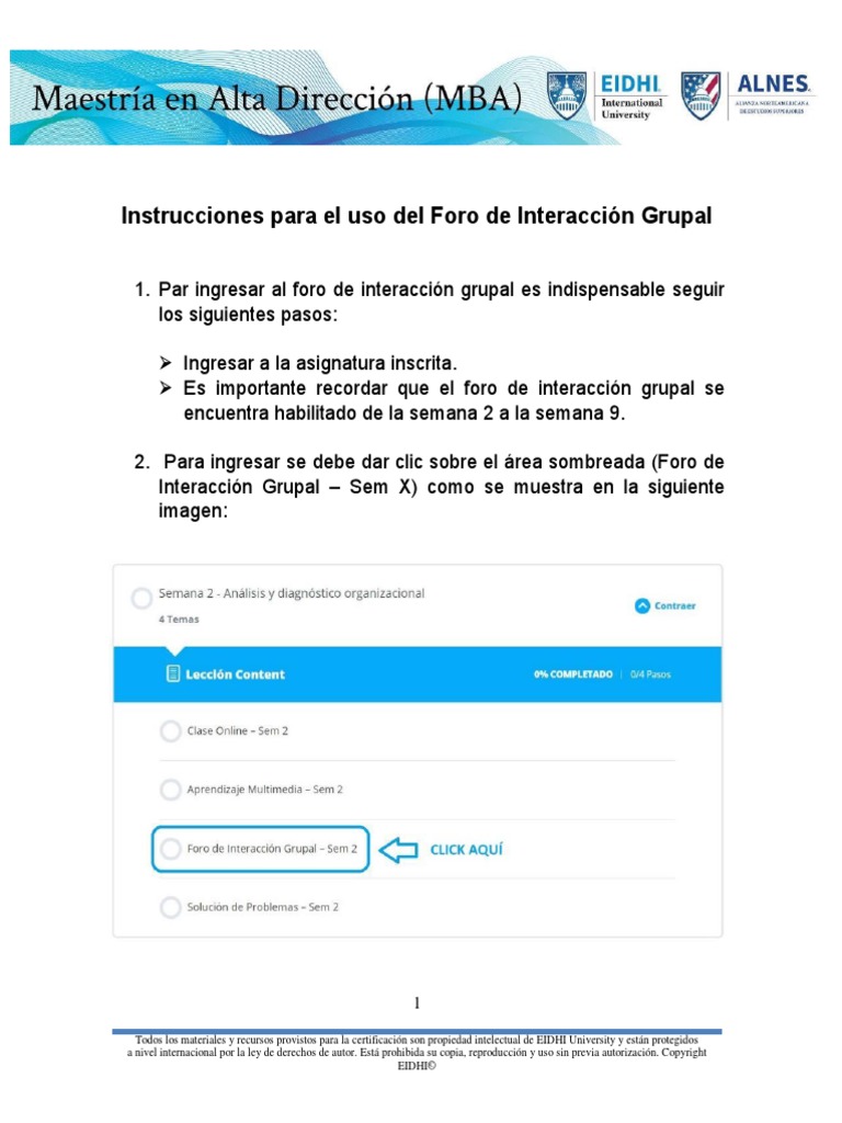 Instructivo para El Uso Del Foro de Interaccion Grupal | PDF