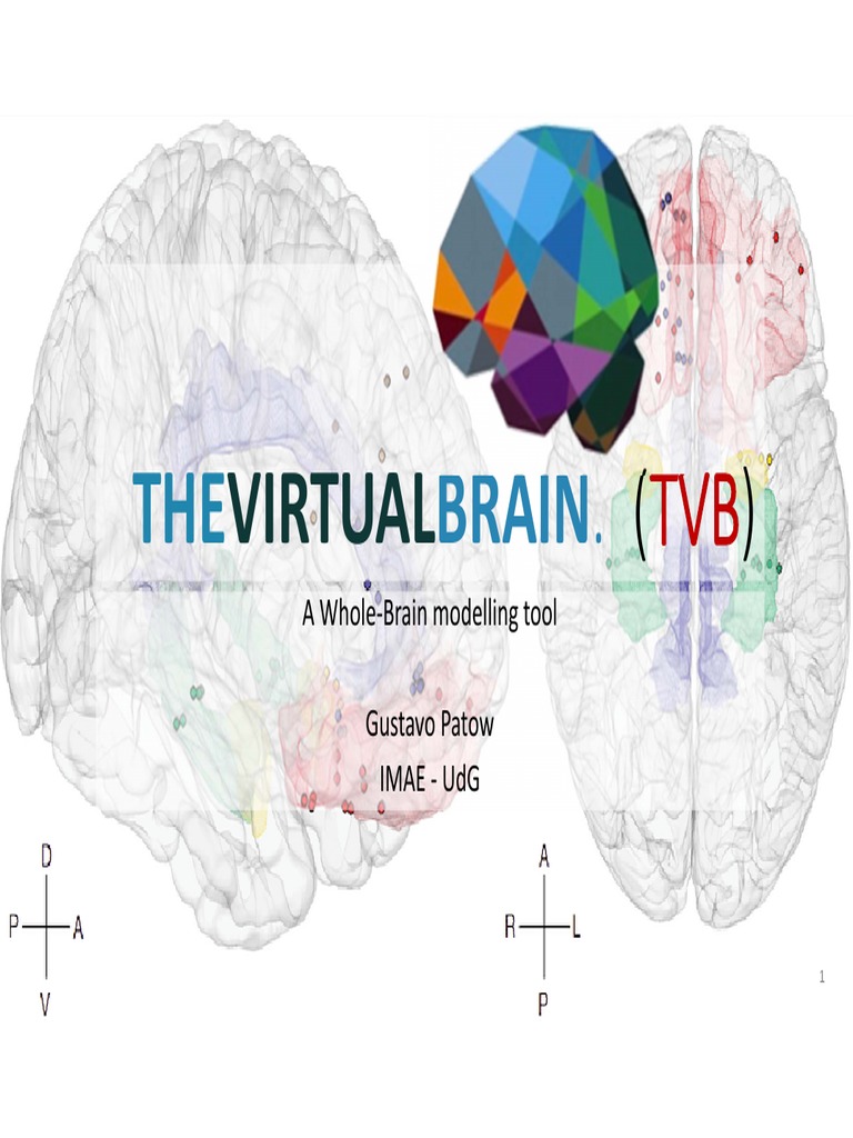 Whole-Brain Modeling with TVB Guide | PDF | Temporal Lobe | Epilepsy