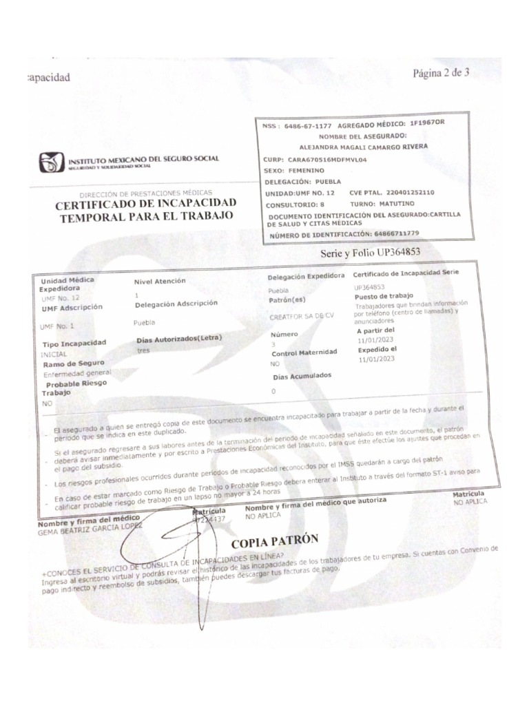 Documentos Escaneados | PDF