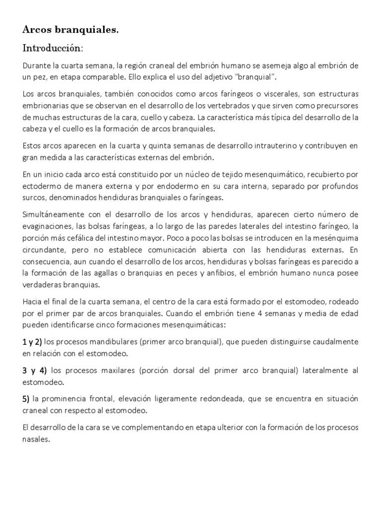 Arcos Branquiales | PDF | Laringe | Anatomía