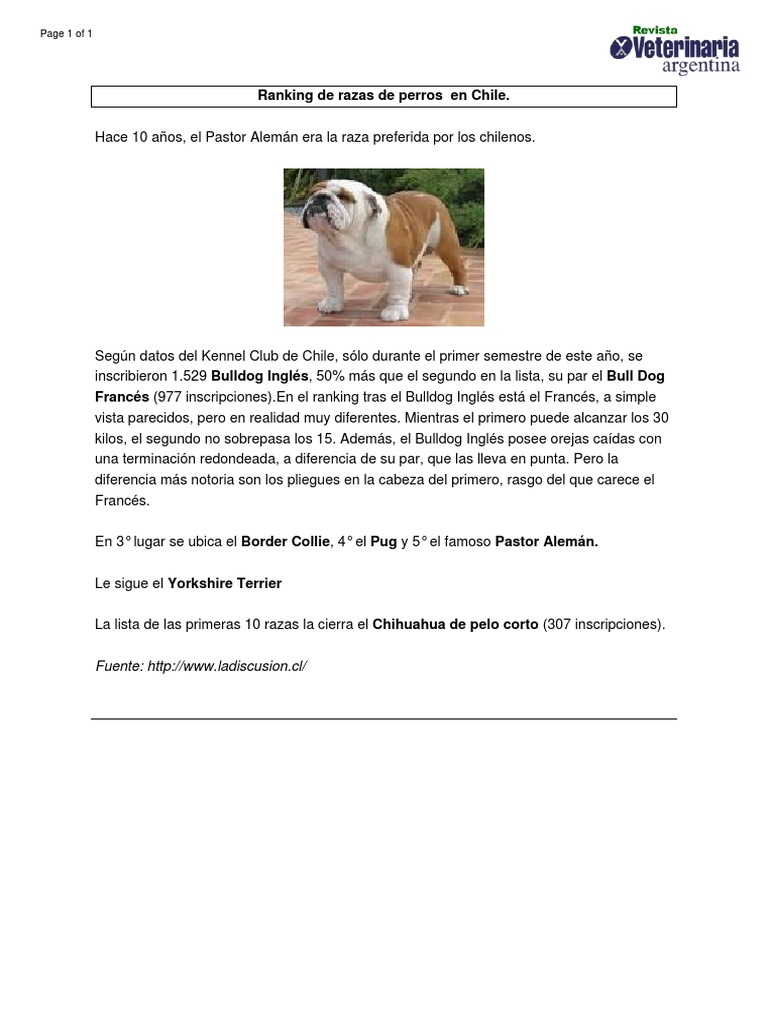 Ranking de Razas de Perros en Chile | PDF