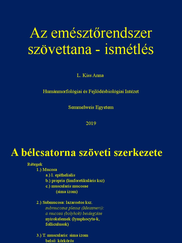 Az emÃ©sztÅ Rendszer Szã Vetanareview Automatikusan Mentett | PDF