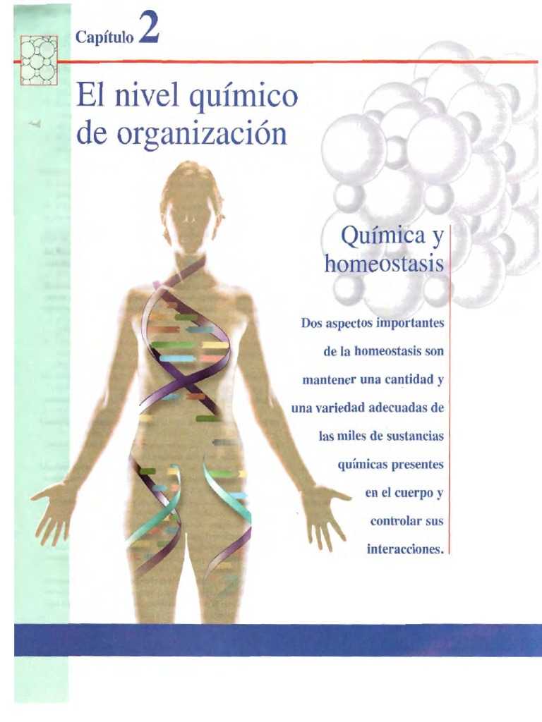 Nivel Químico de Organización - Agua - Tortora | PDF
