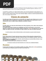 Informe Completo Zampoña | PDF | Instrumentos musicales | Musicología