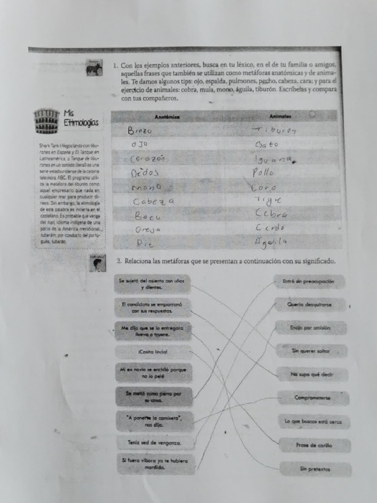 Entregable3-3erP Etimologias | PDF | latín | Lengua española