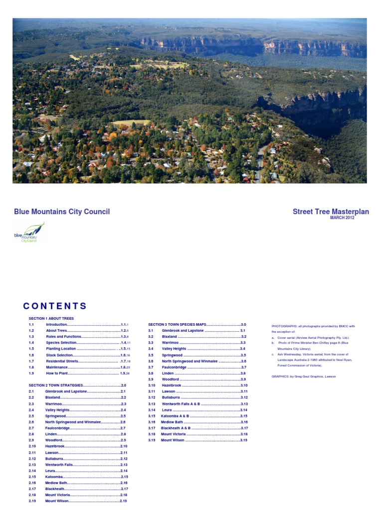 Street Tree Masterplan | PDF | Trees | Soil