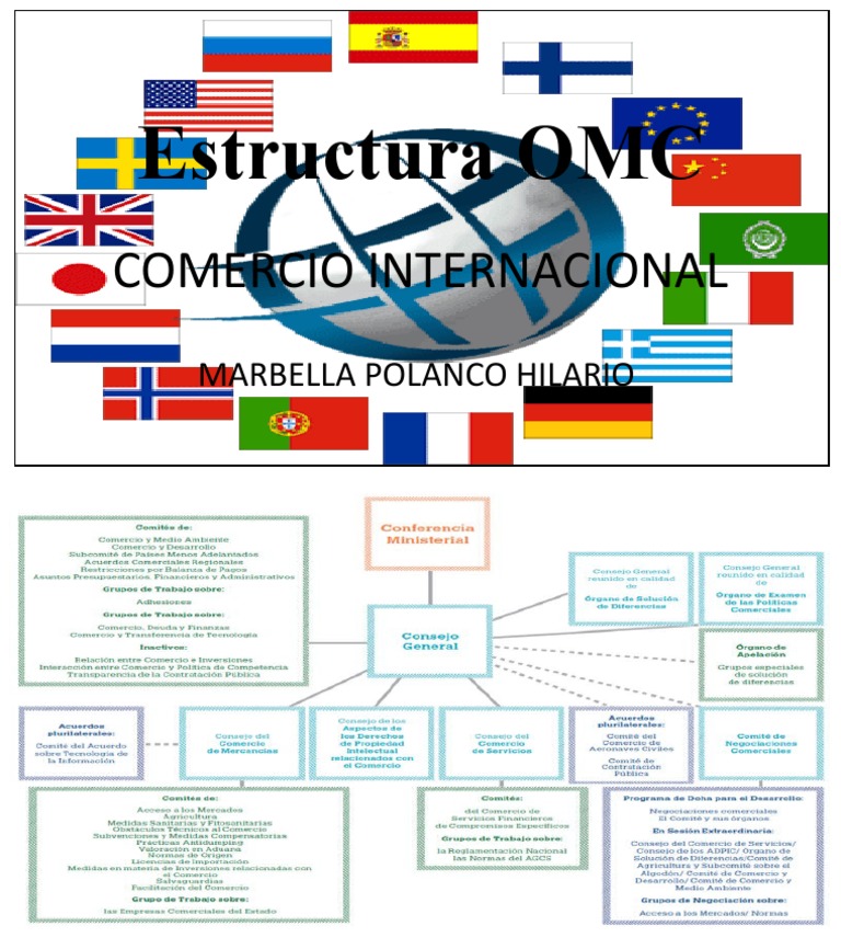 Estructura OMC | PDF