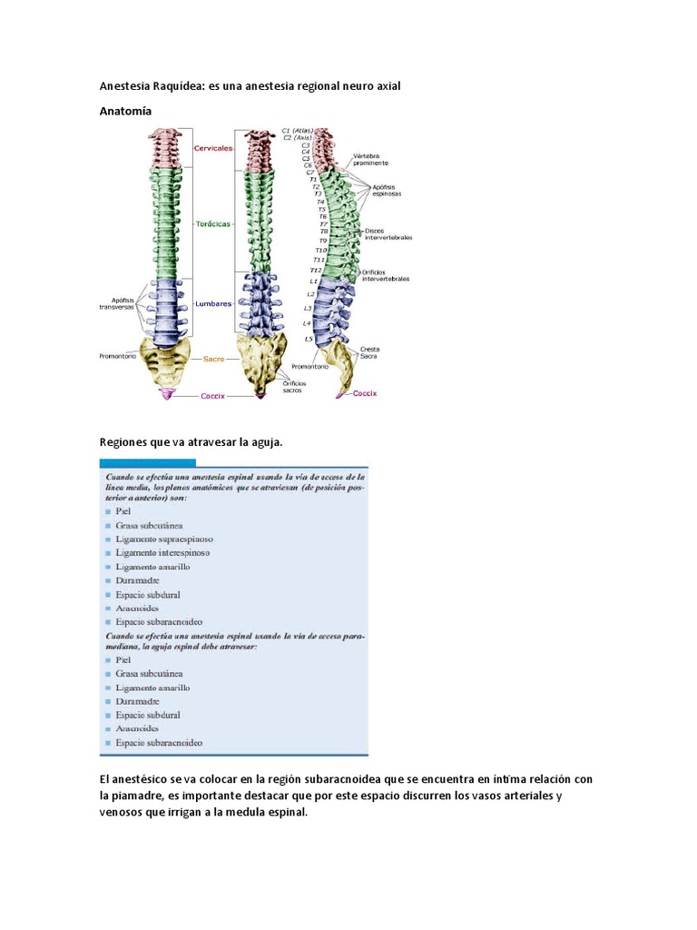 Anestesia Raquídea: Indicaciones y Riesgos | PDF | Anestesia | Fluido ...