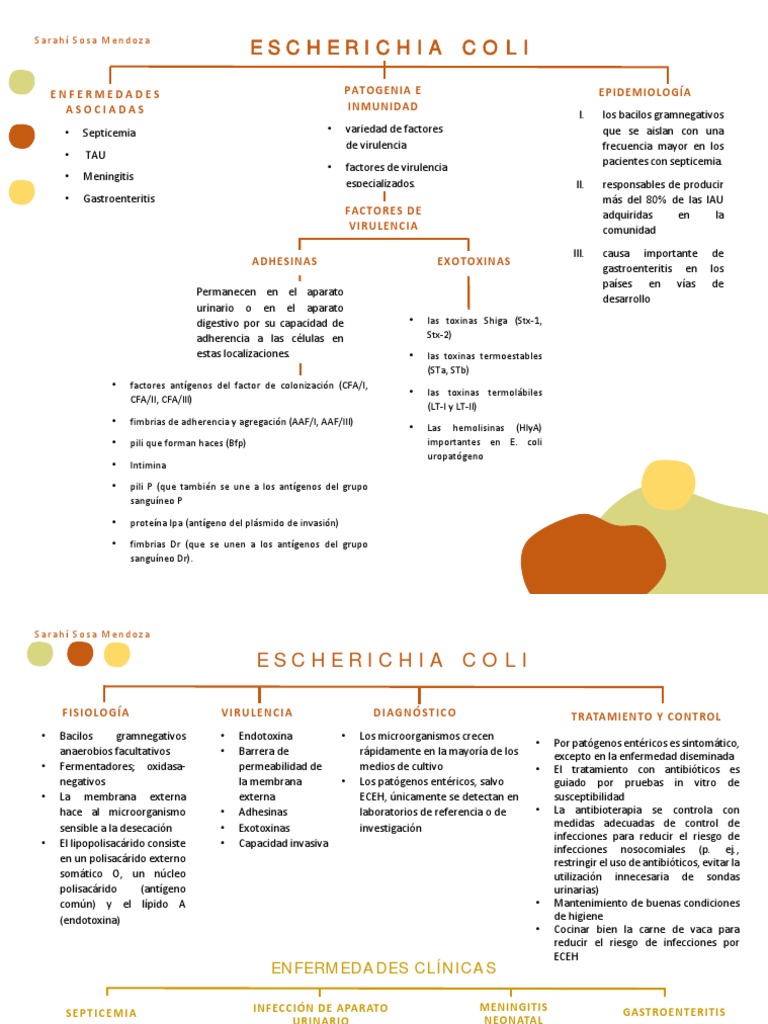 Mapa-E Coli | PDF | Escherichia coli | Diarrea
