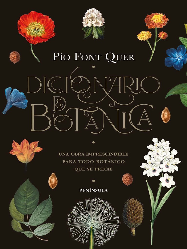 Diccionario de Botanica | PDF