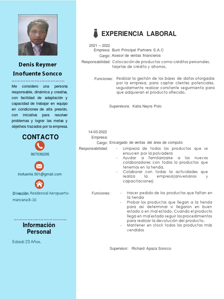 Denis CV | PDF | Business
