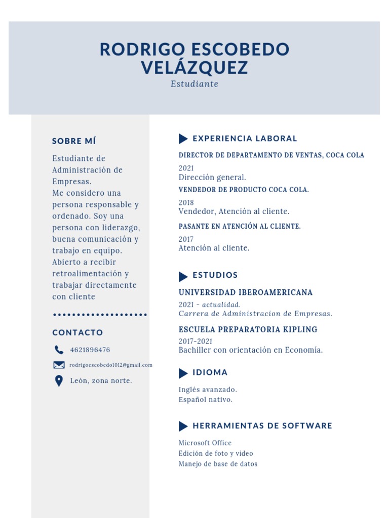 Cv Sin Foto Trabajo Formal Joven Blanco Azul | PDF