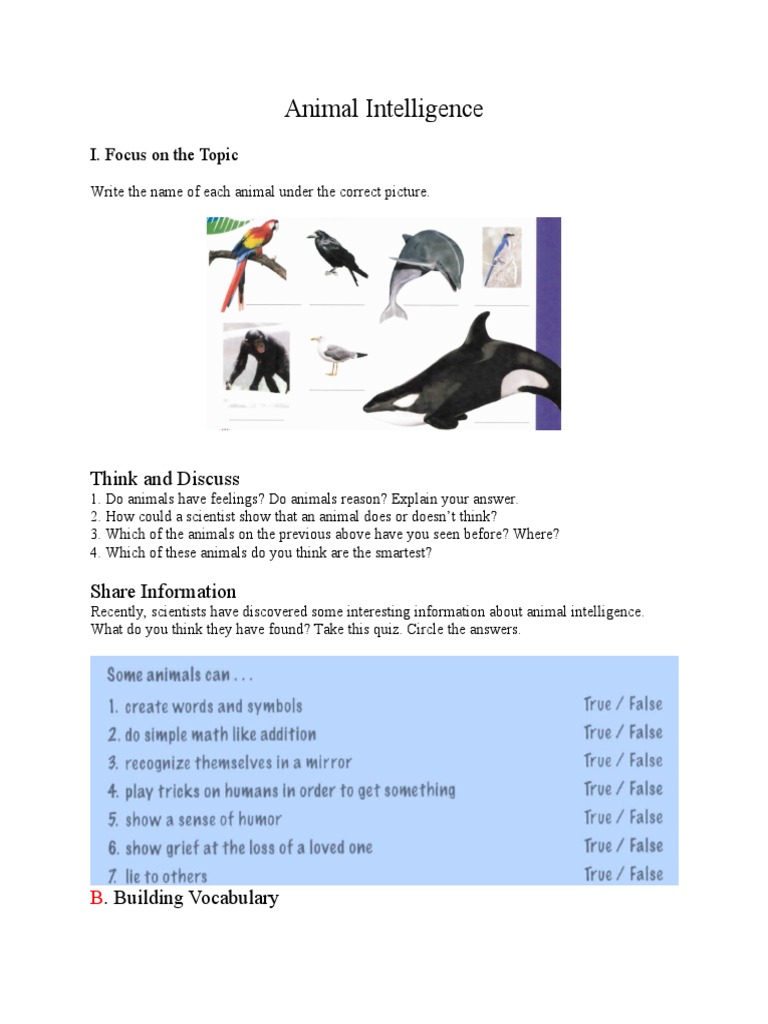 Animal Intelligence Worksheet | PDF | Intelligence | Vocabulary