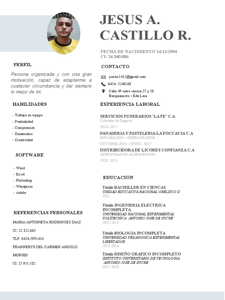 Curriculum Jesus Castillo | PDF