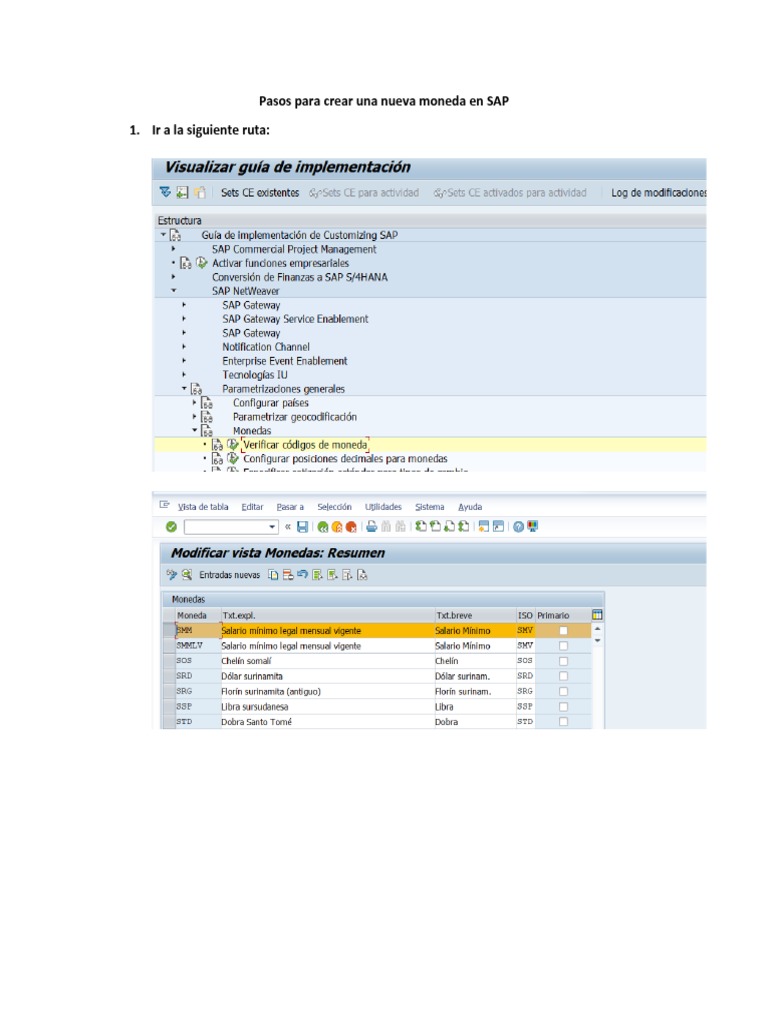 Crear moneda en SAP: Pasos y configuración | PDF | Crecimiento personal y profesional