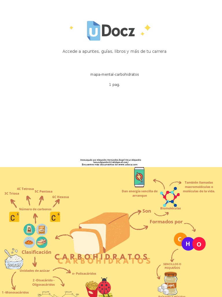 Mapa Mental Carbohidratos 238823 Downloable 1878485 | PDF ...