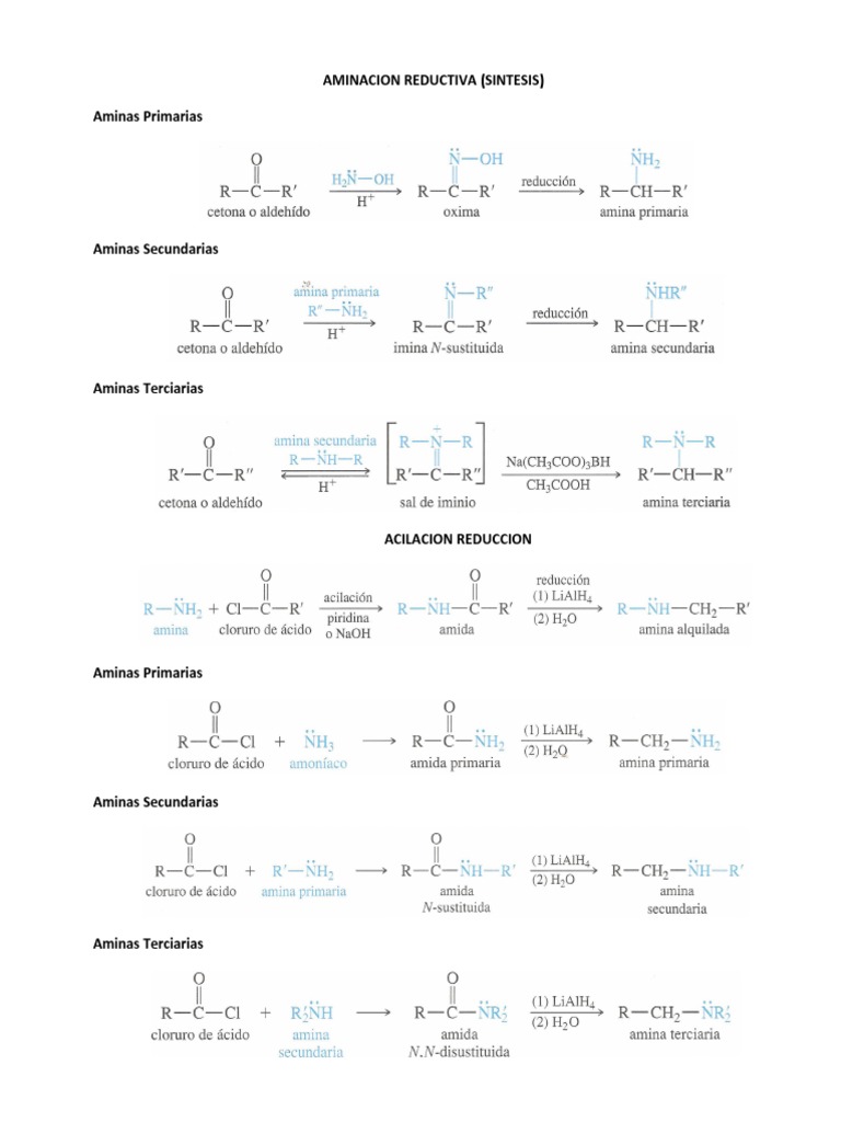 Formulario de Aminas | PDF