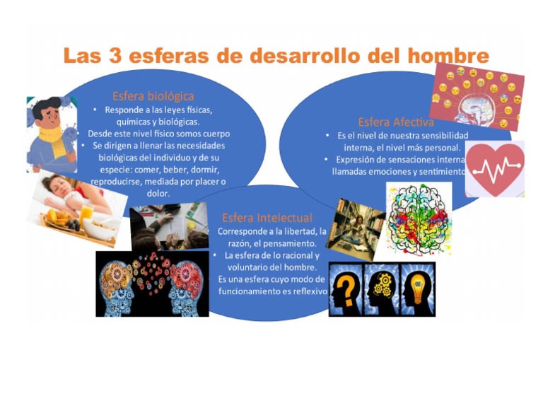 Las 3 Esferas de Desarrollo | PDF