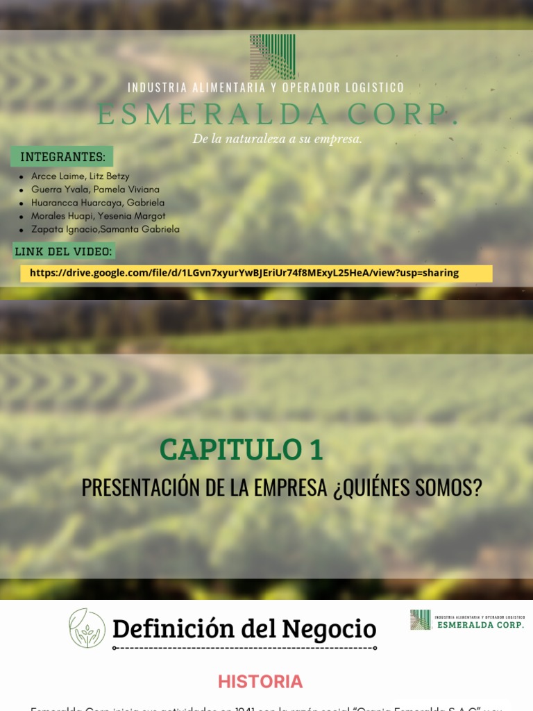 Diseño Organizacional Ec3 | PDF | Logística | Calidad (comercial)