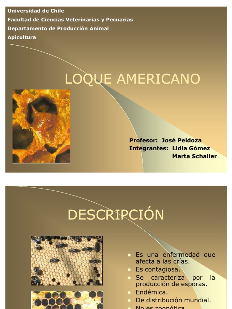 Loque Americano 2002 | PDF | Abejas | Apicultura