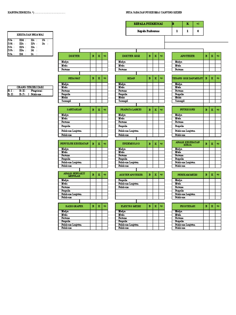 Peta Jabatan Dinkes Dan PKM 2023 | PDF