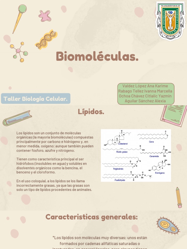 Equipo1 Meta1.2 | PDF | Lípido | Adn