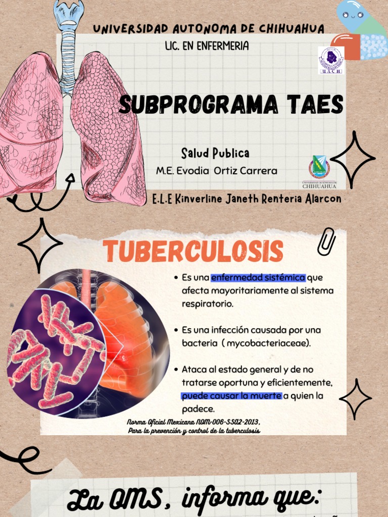 Subprograma TAES | PDF | Tuberculosis | Salud pública