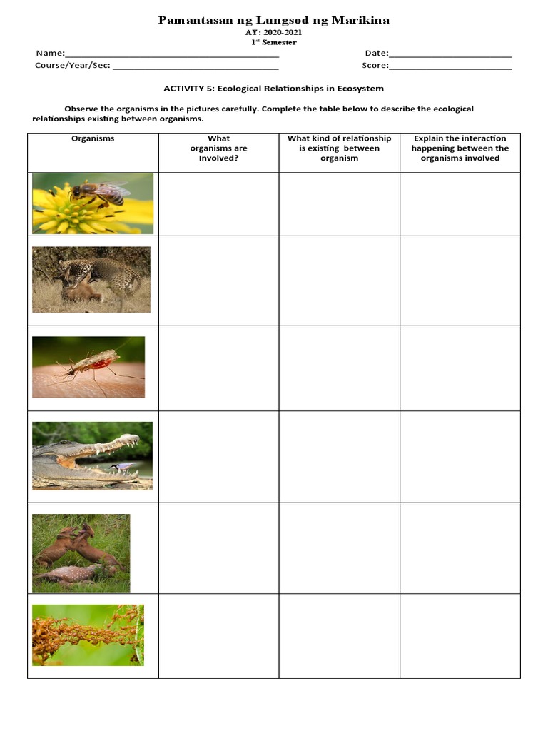 TASK 11 - Template - Ecological Relationships | PDF