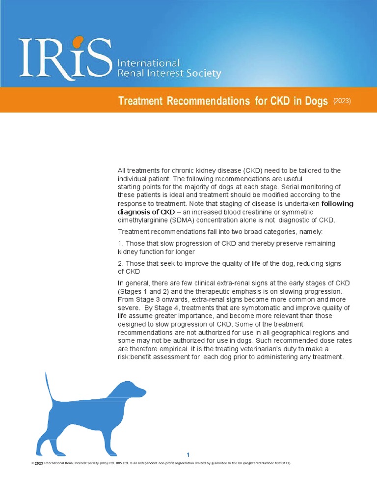IRIS-DOG-Treatment Recommendations 2023 | PDF | Hypertension | Blood ...