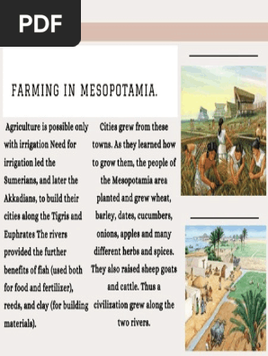 Mesopotamia Farming
