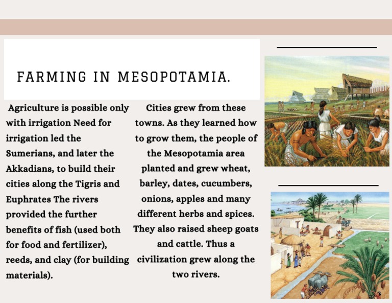 How Irrigation and Agriculture Along the Tigris and Euphrates Rivers ...