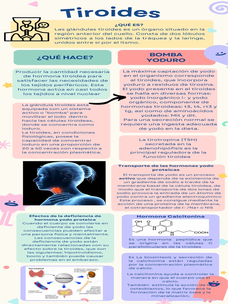 Tiroides | PDF | Tiroides | Hormona estimulante de la tiroides