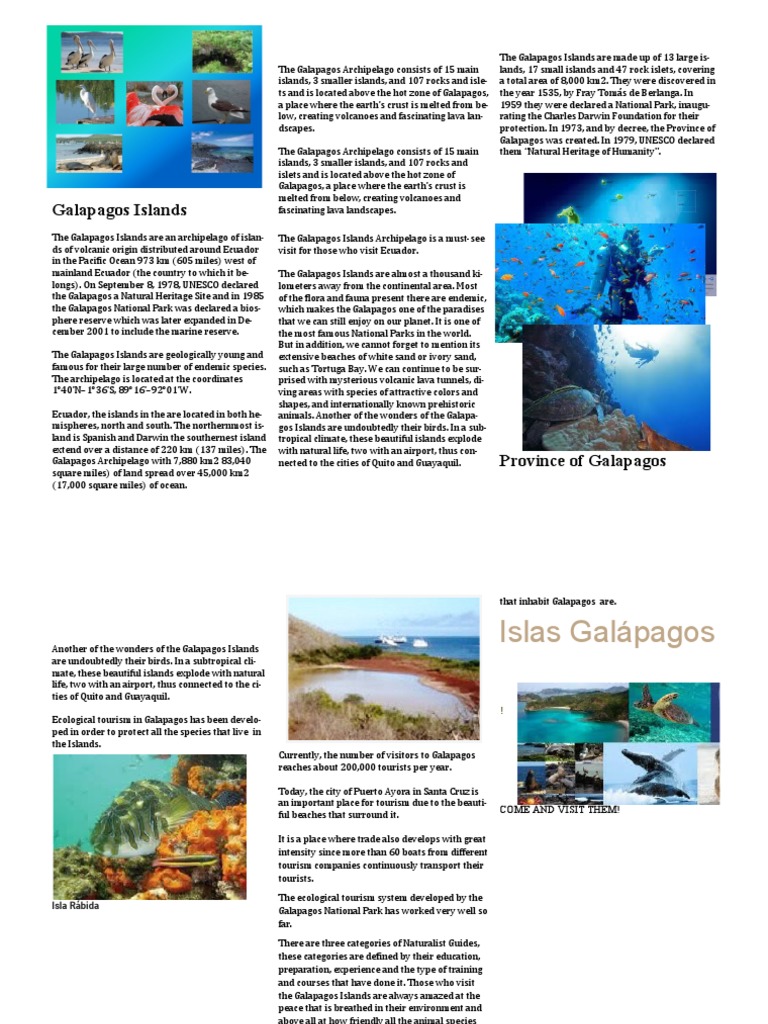 A Comprehensive Look at the Fascinating Galapagos Islands: Their ...