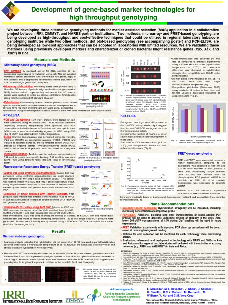 Mercado-Poster Multiplex PCR Fret Poster | PDF | Dna Microarray ...