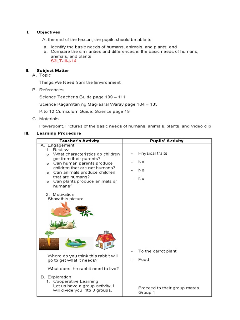 Comparing the Basic Needs of Humans, Animals, and Plants | PDF | Water ...