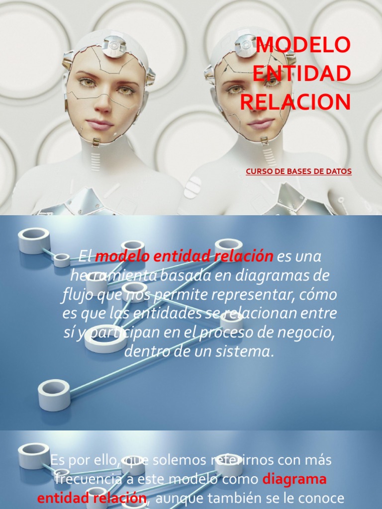 Modelo entidad relación: Una herramienta para representar las ...