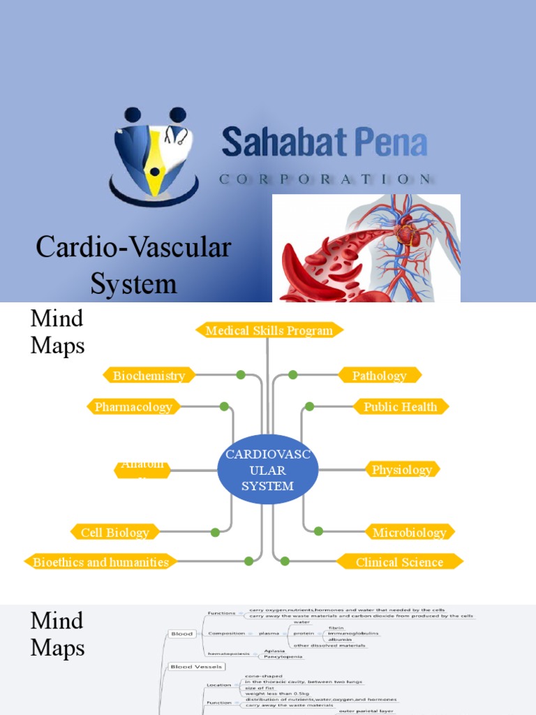 Cardiovascular System Mind Maps | PDF | Heart | Angiology