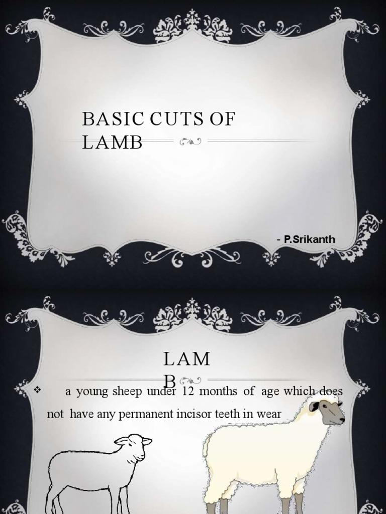 Basic Cuts of Lamb | PDF | Lamb And Mutton | Meat