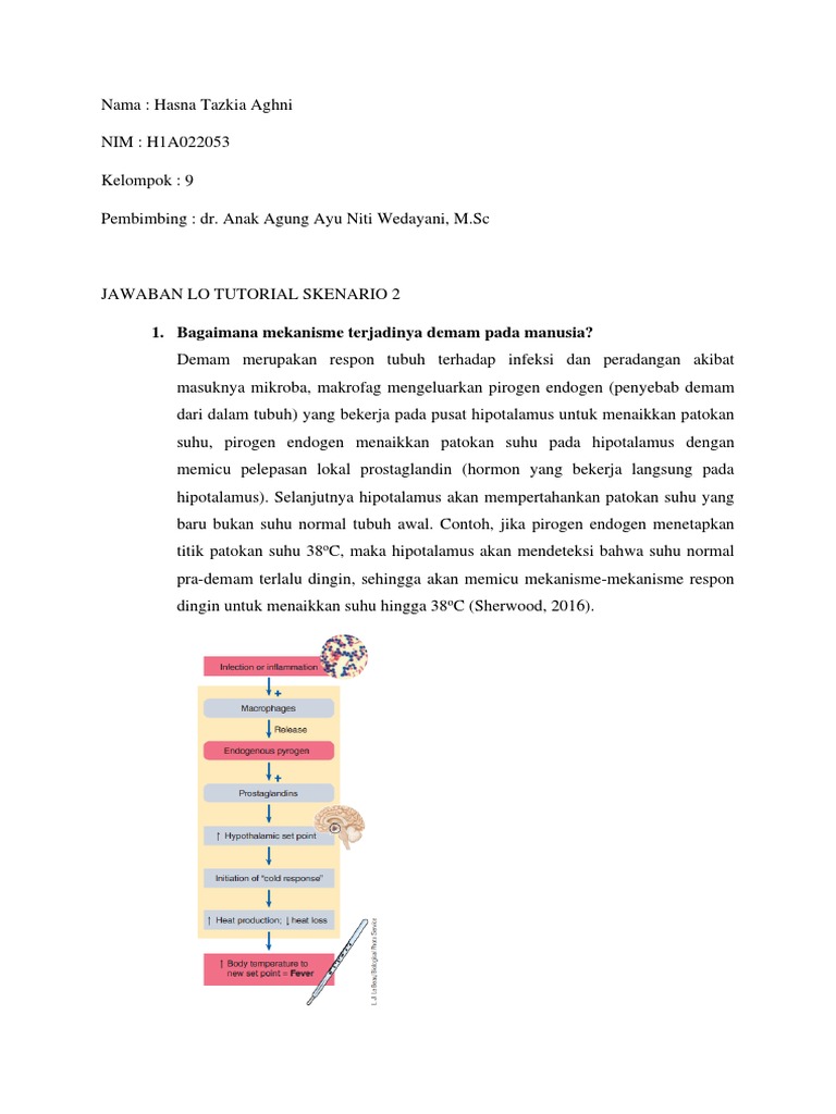 Mekanisme Demam dan Termoregulasi Manusia | PDF