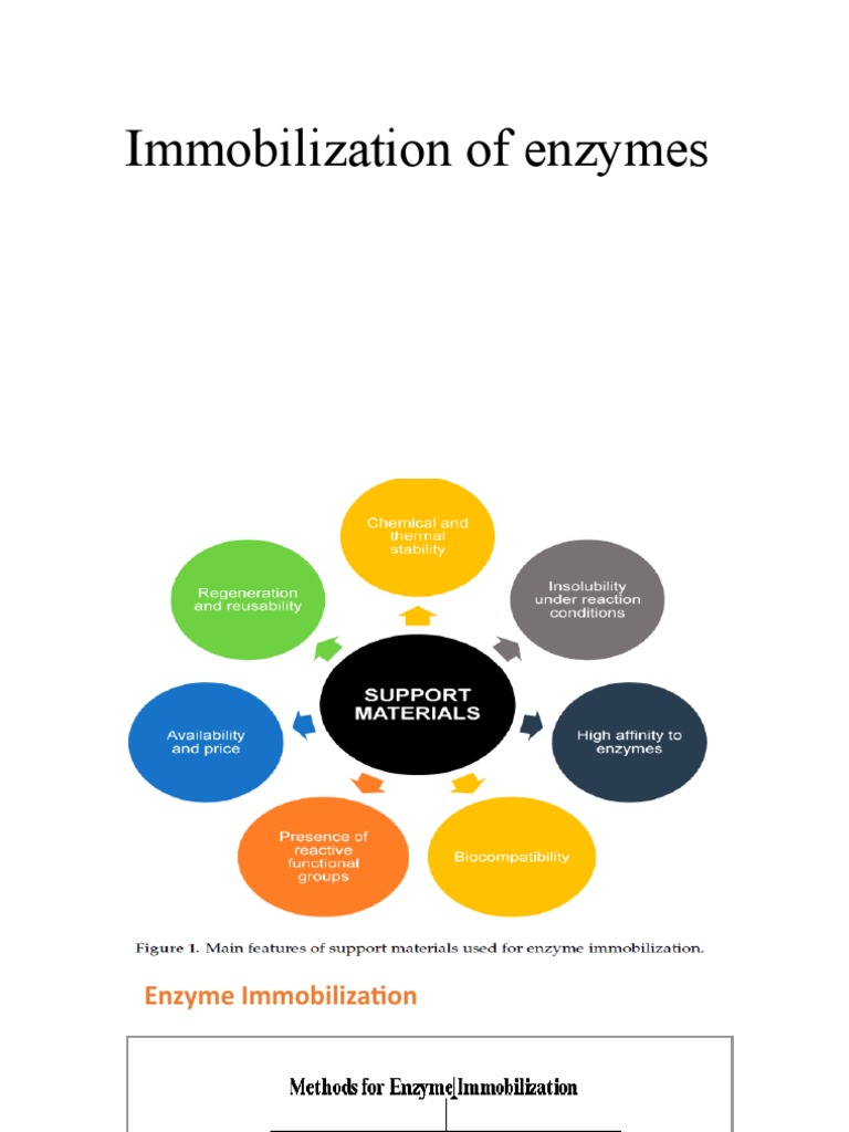Immobilization Of Enzymes Pdf Enzyme Polymers