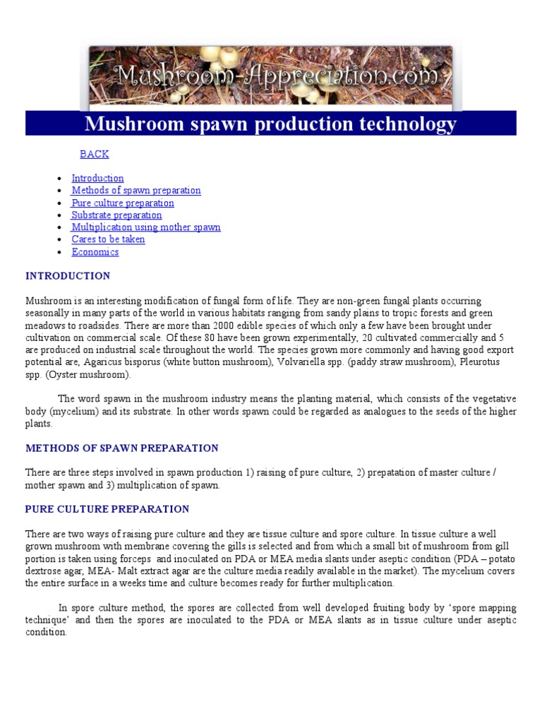 Mushroom Spawn Production Guide | PDF | Mushroom | Spawn (Biology)