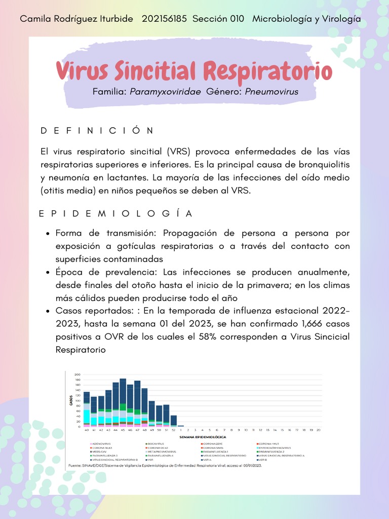 Virus Sincitial Respiratorio Camila Rodríguez Iturbide 202156185