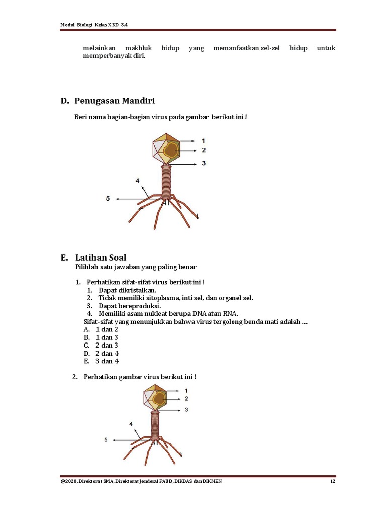 Soal Latihan Virus Kelas 10 Biologi | PDF