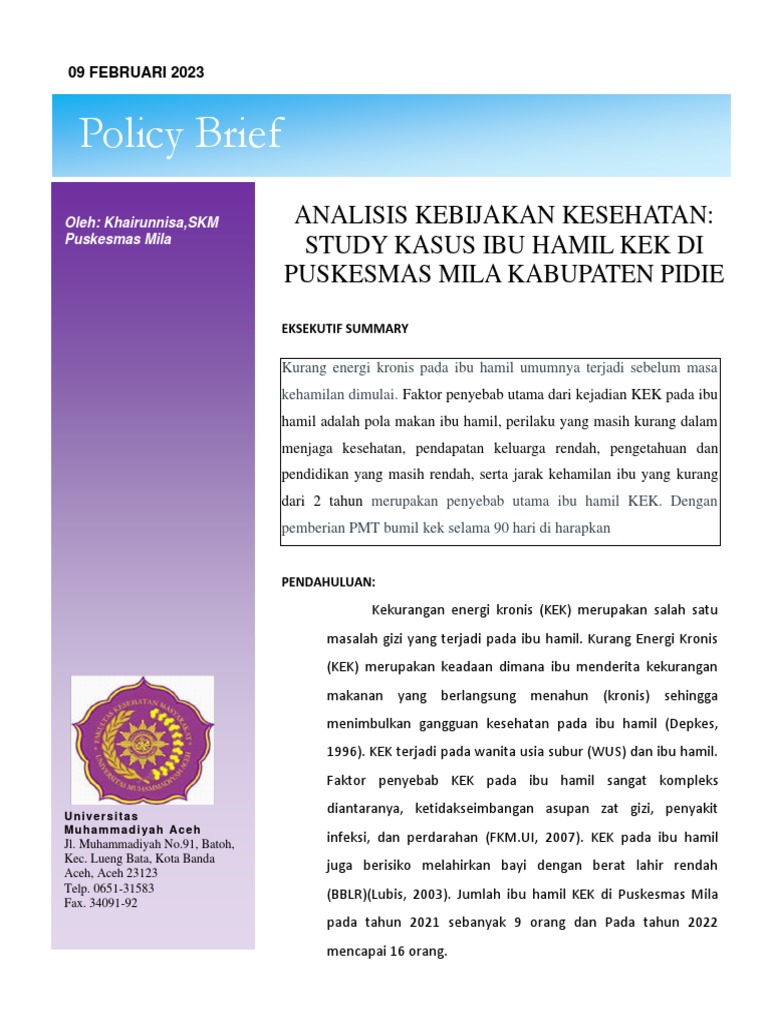 Policy Brief Analisis Kebijakan Bumil KEK | PDF