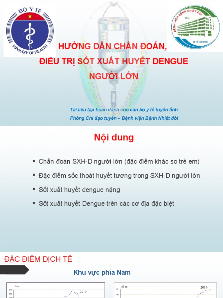 SXH Dengue, 2022 - BV Bệnh Nhiệt Đới TpHCM | PDF